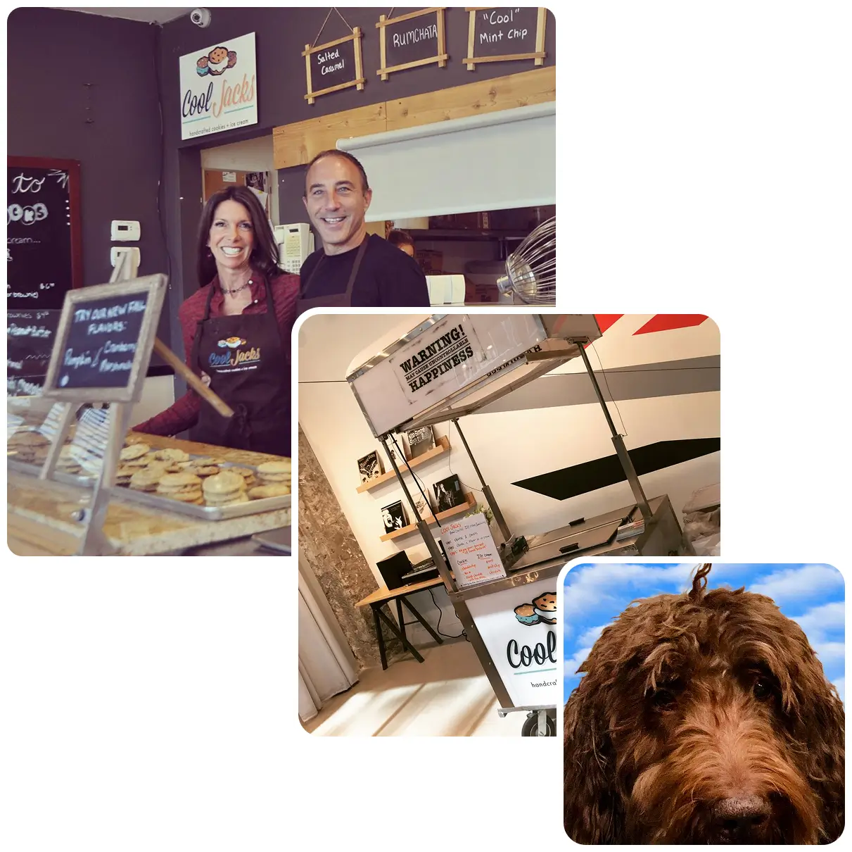 Meet “Jackson”: The Dog Behind Cool Jacks’ Inspiration